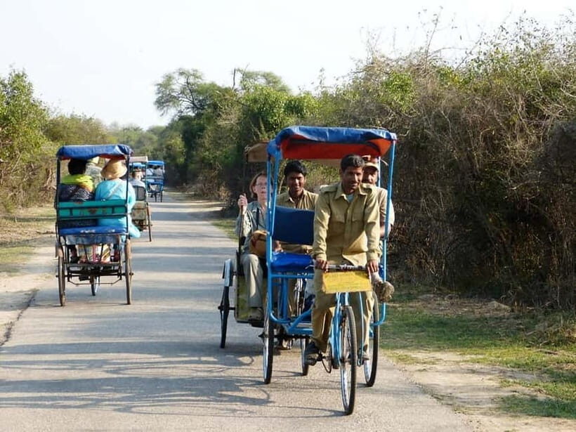 Keoladeo National Park Tickets and Guided Tour - Exploring Keoladeo National Park: What to Expect