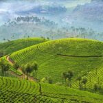 Kerala and Tamil Nadul Dreamscape Journey (South India) - Who Will Love This Tour?