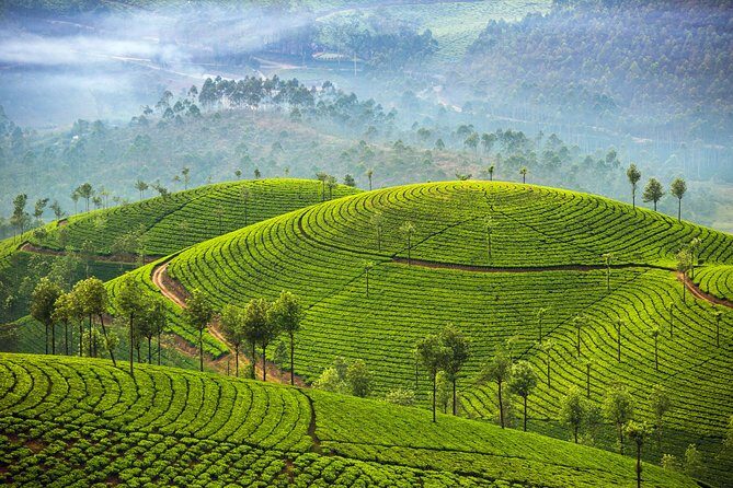 Kerala and Tamil Nadul Dreamscape Journey (South India) - Who Will Love This Tour?