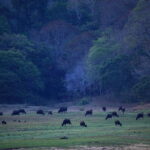 Kerala Backwater & Andaman Island - Why This Tour Offers Real Value