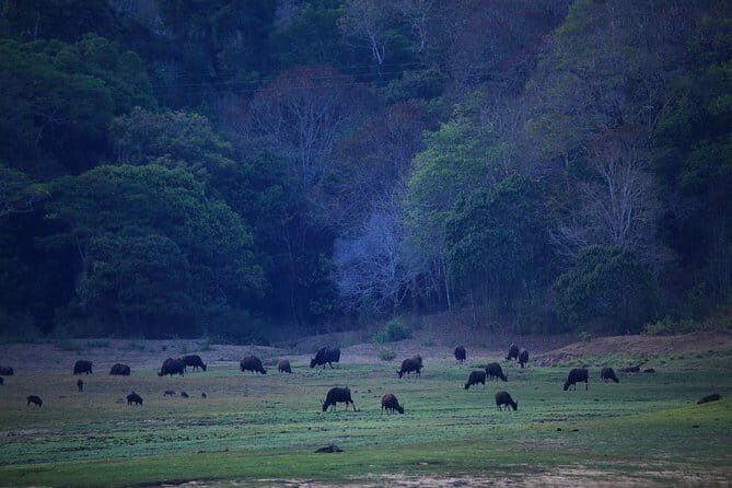 Kerala Backwater & Andaman Island - Why This Tour Offers Real Value