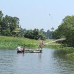 Kerala Backwater Cruise in Exclusive Water Taxi Explores Narrows - Authentic Feedback & Real Experiences