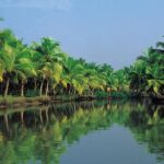 "KERALA - Gods own country" - 04 Nights Private Guided Tour - Key Points
