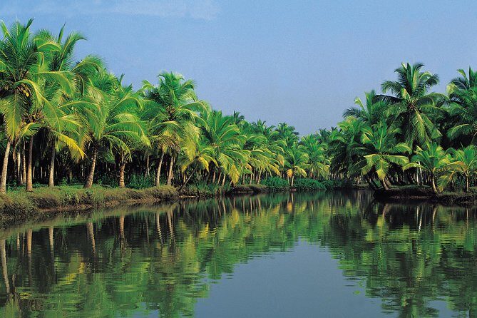 "KERALA - Gods own country" - 04 Nights Private Guided Tour - Key Points