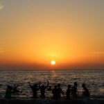 Kerala Sea Food Trail: An Excursion To Cherai Beach - Breakdown of the Itinerary