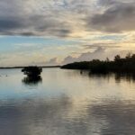 Key Largo Mangrove Private Eco-Tours - Who Will Love This Tour?