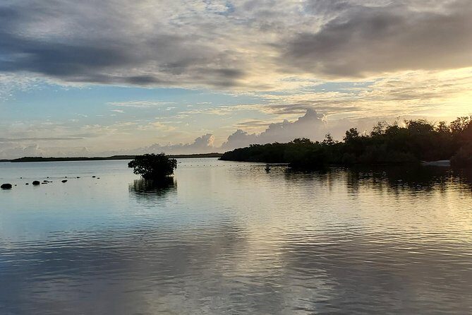 Key Largo Mangrove Private Eco-Tours - Who Will Love This Tour?