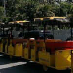 Key West Parasailing Shared Experience with Conch Train from Miami - The Land Exploration: Conch Train Tour