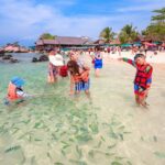 Khai Island Half Day Tour in 3 Islands (Khai Nai,Khai Nok,Khai Nui) from Phuket - Detailed Breakdown of the Itinerary