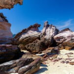 Khai Islands Speedboat Trip Half Day Tour - The Experience: What to Expect