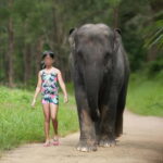 Khao Lak: Elephant Bathing and Turtle Center Visit - The Turtle Center: A Conservation Success