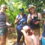 Khao Lak Ethical Elephant Sanctuary Small Group Tour - Authenticity and Ethical Focus in Practice