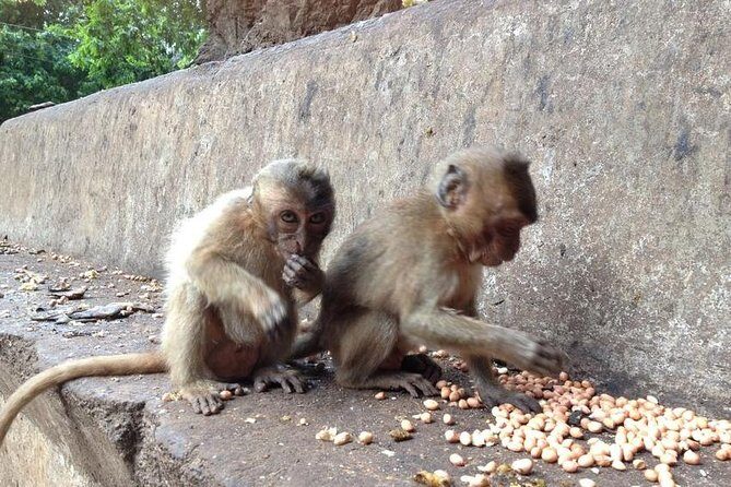 Khao Lak : Full-Day Temple Tour Including Dragon Cave - Key Points