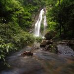 Khao Lak: Little Amazon Canoe Ride & Tam Nang Waterfall Tour - Who Will Love This Tour?