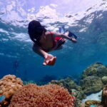 Khao Lak to Similan Islands Lazy Snorkeling by Speedboat - Who Will Love This Tour?