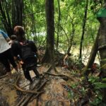 Khao Sok National Park Hiking and Bamboo Raft Tour From Khao Lak - An Authentic Day in Khao Sok’s Wilderness