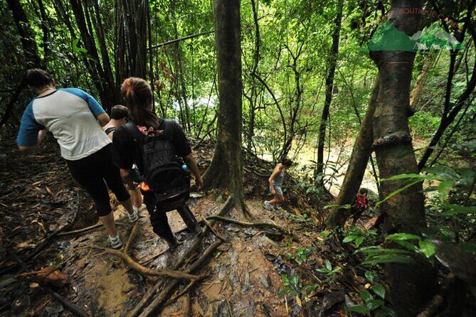 Khao Sok National Park Hiking and Bamboo Raft Tour From Khao Lak - An Authentic Day in Khao Sok’s Wilderness