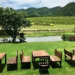 Khao Yai Winery - Vineyard Tours & Animal Lover with Horse Farm - What to Expect from the Itinerary