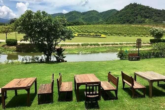 Khao Yai Winery - Vineyard Tours & Animal Lover with Horse Farm - What to Expect from the Itinerary