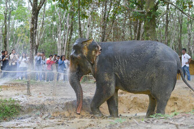 Khaolak Wild Ride and Gentle Giants Experience - Value and Practicalities