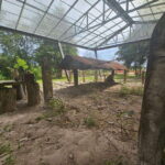 Khmer Rouge Headquarters & Last Stand Tour from Siem Reap - The Practicalities and Value