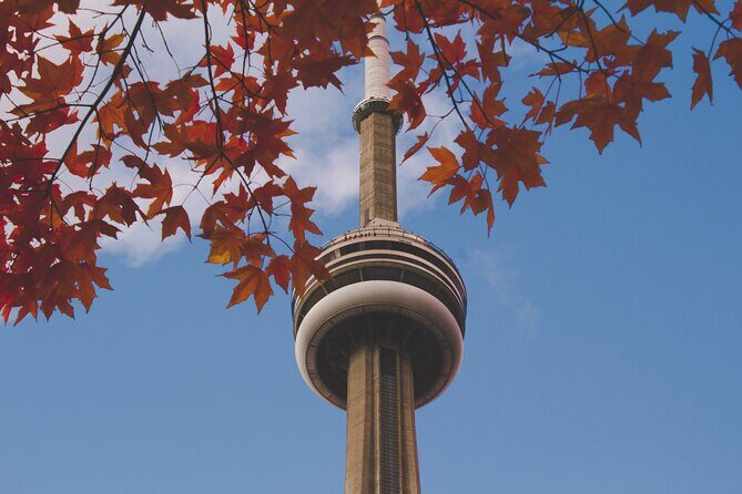 Kickstart Your Trip in Toronto - Who Would Love This Tour?