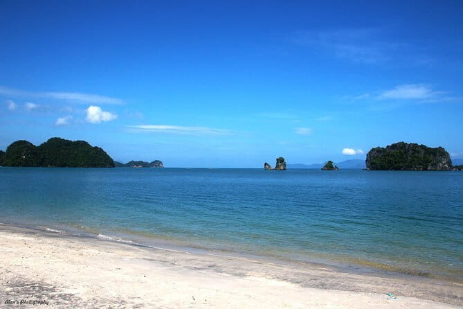 Kilim Geoforest Mangrove Boat Tour (Sharing) - Who Will Appreciate This Tour?