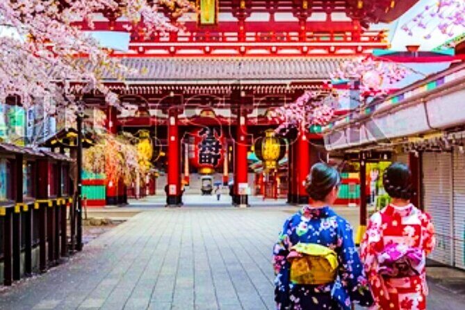 Kimono Tokyo Tour - The Actual Experience: What Travelers Can Expect