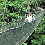 Kinabalu National Park Tour - Analyzing the Value