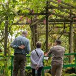 Kinabalu Park Tour with Desa Dairy Farm & Poring Hot Springs - The Practicalities