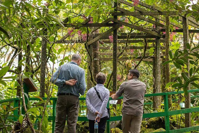 Kinabalu Park Tour with Desa Dairy Farm & Poring Hot Springs - The Practicalities