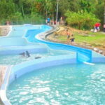 Kinabalu Park Tour With Poring Hot Springs From Kota Kinabalu - Authentic Insights from Reviews