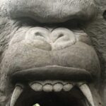 King Kong Cave ATV Quad Bike Ubud - The Itinerary: An In-Depth Look