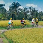 Kintamani Downhill Bike Tour - What to Expect from the Experience