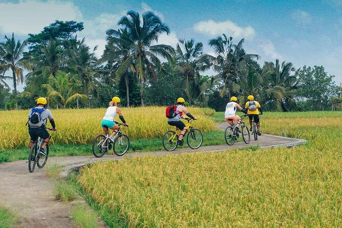 Kintamani Downhill Bike Tour - What to Expect from the Experience