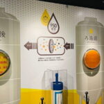 Kirin Beer Hokkaido Chitose Factory Tour - The Itinerary: What to Expect at Each Stop