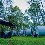 Kirirom National Park Private Day Tour from Phnom Penh - Practical Details and Value