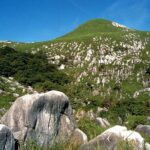 Kitakyushu Half-Day Private Trip with Government-Licensed Guide - Who Will Love This Tour?