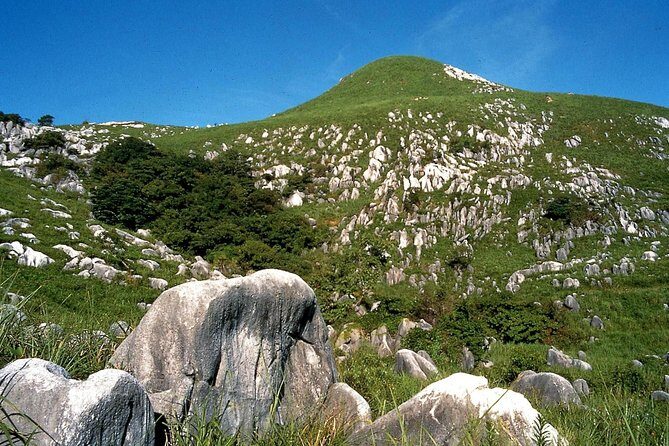 Kitakyushu Half-Day Private Trip with Government-Licensed Guide - Who Will Love This Tour?