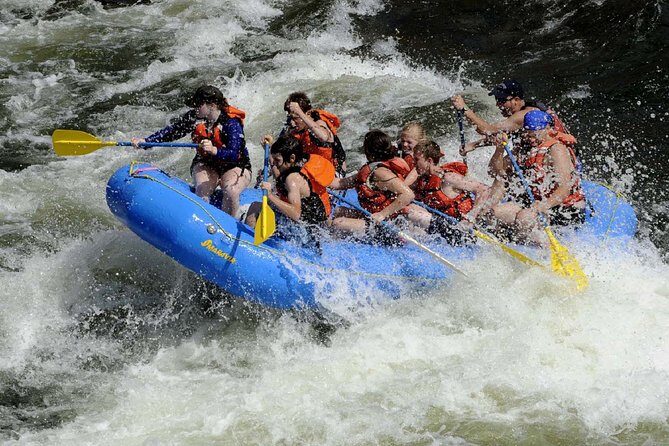 Kithulgala White Water Rafting Adventure - Authentic Experiences and Real Feedback
