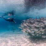 Kiulu White Water Rafting Gred I-II (Beginner) - Group Size and Atmosphere