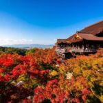 Kiyomizu Temple and Backstreet of Gion Half Day Group Tour - Why This Tour Matters for Your Kyoto Visit
