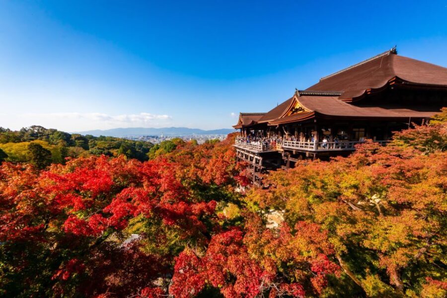 Kiyomizu Temple and Backstreet of Gion Half Day Group Tour - Why This Tour Matters for Your Kyoto Visit
