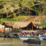 Klias Wildlife Safari River Cruise - Proboscis Monkey & Fireflies - A Deep Dive into the Experience