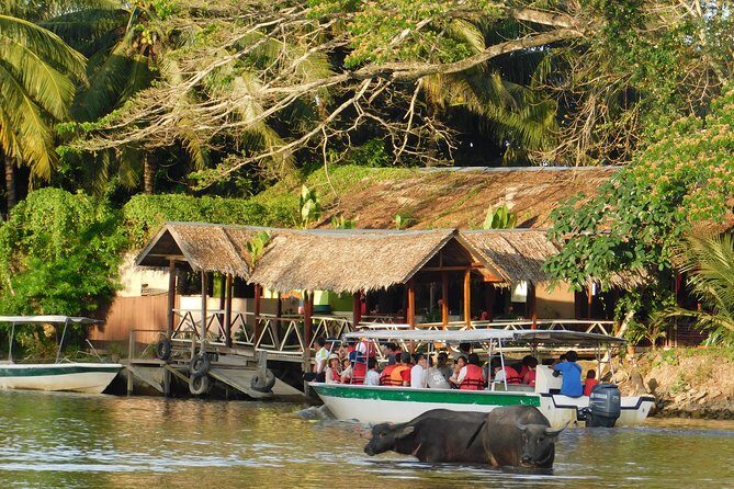 Klias Wildlife Safari River Cruise - Proboscis Monkey & Fireflies - A Deep Dive into the Experience