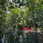Klong Rud Kayaking with Hotel Transfer - Comparing with Similar Experiences