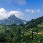 Knuckles and Riverston trekking in 1 day - Enriching the Adventure: The Itinerary in Detail