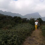 Knuckles Mountain Range Hiking and Trekking Day Tour From Kandy Hotels - The Authenticity and Value