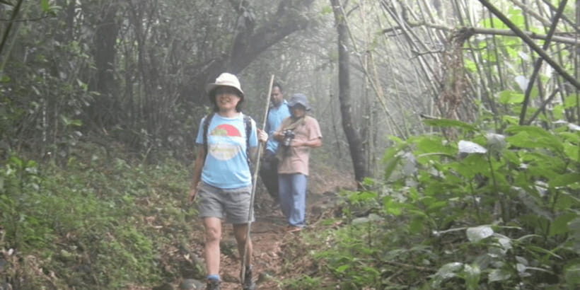 Knuckles Wilderness Waterfall Trek:Comprehensive Adventure - What Travelers Say: Honest Feedback