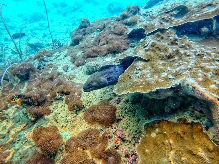 Ko Lanta: 4 Islands Snorkeling Tour by Longtail Boat - The Itinerary Breakdown: What to Expect